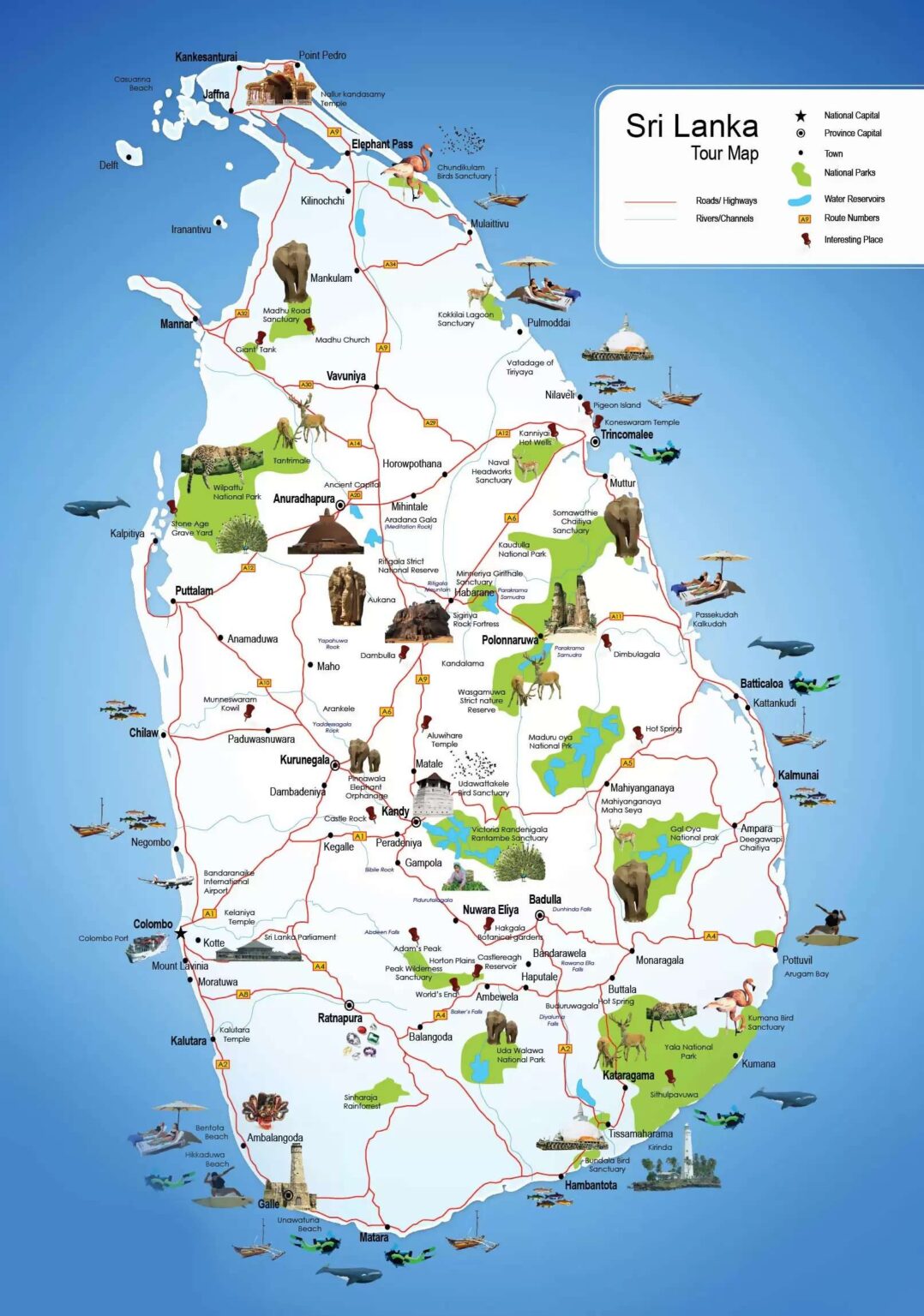 Discover the Magic of Sri Lanka: A Complete Travel Guide to the Pearl of the Indian Ocean - WalkOn